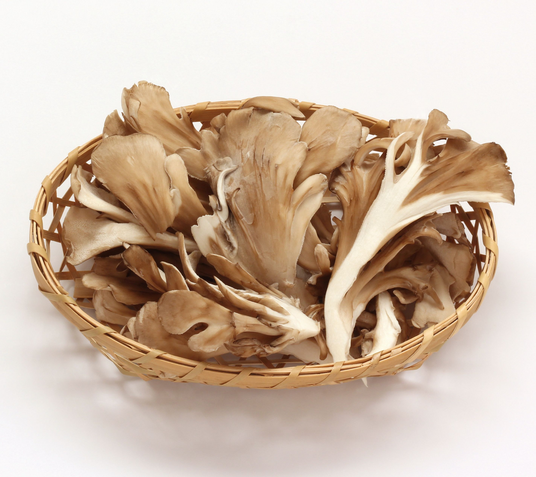 Maitake (Grifola frondosa) grybų milteliai iš ES ekologinio ūkio ...